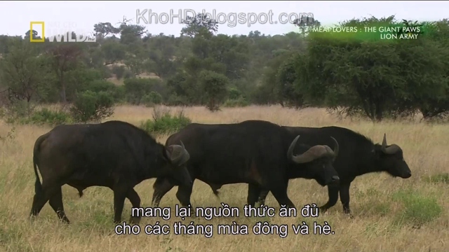 Quân Đội Sư Tử - Lion Army - Nông nghiệp Việt Nam - Tin Tức - Giải trí